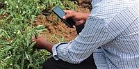 Pictures can help you with crop problems | Great Basin Sun