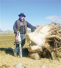 Danny Ham to showcase chainsaw wood carving | Great Basin Sun