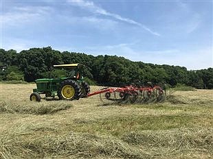 Minimize Ash in Forage | Great Basin Sun