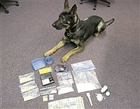 Winnemucca TRIDENT drug bust nabs meth | Great Basin Sun