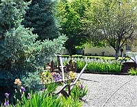 Winnemucca's Yard of the Week: Kim and Clint Riddle | Great Basin Sun