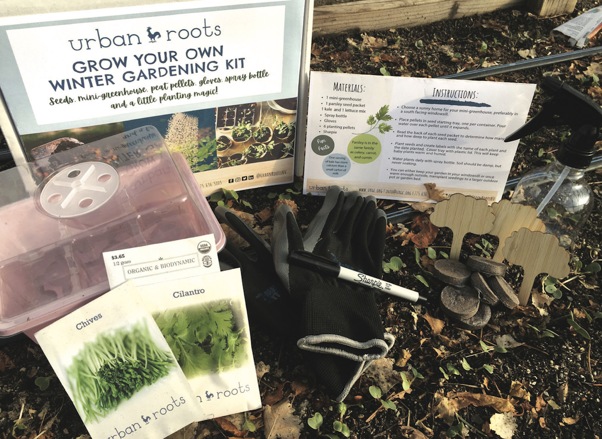 Nonprofit Spotlight: Urban Roots looks to a brighter day (sponsored ...