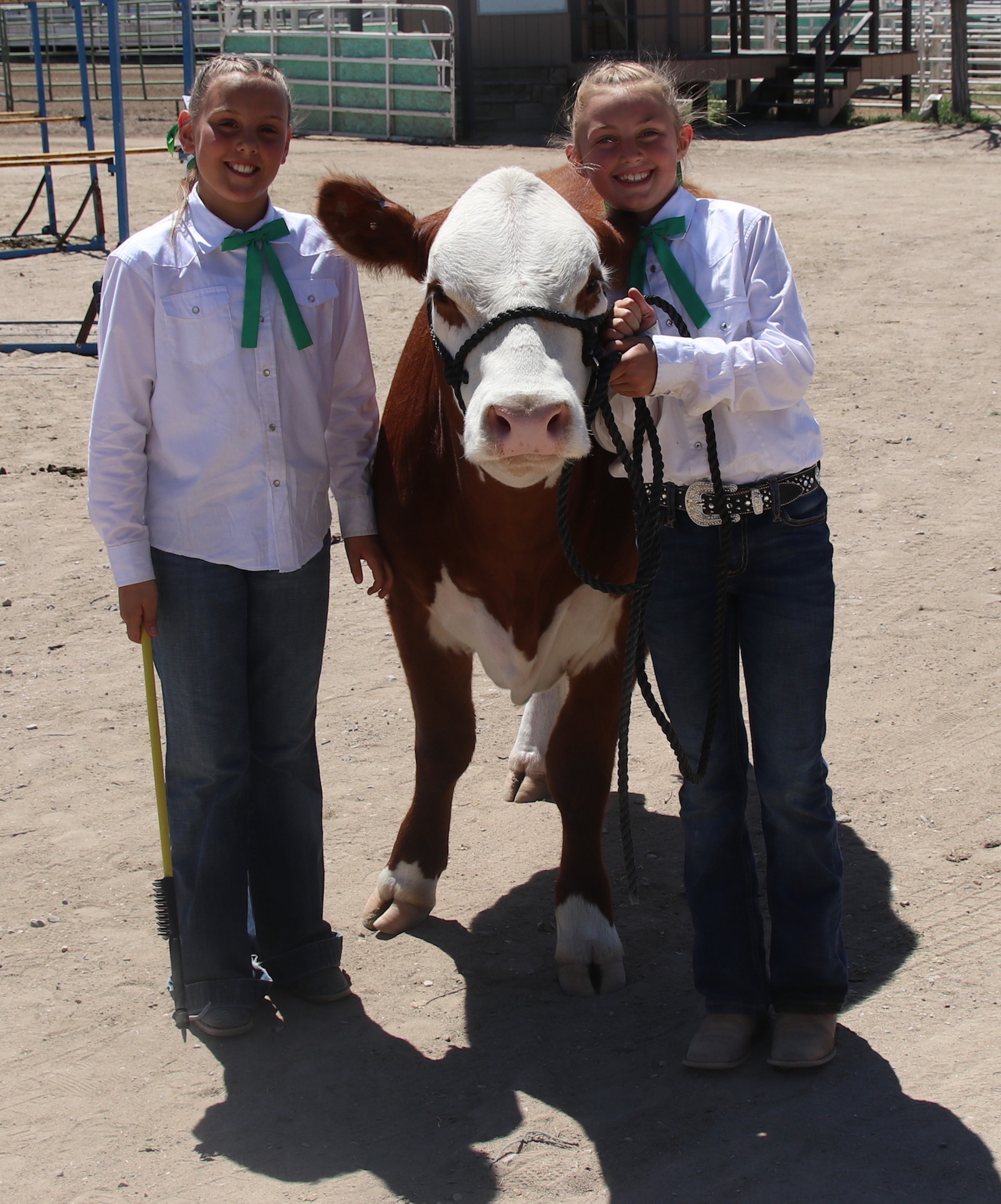 Area 4-H and FFA students exhibit their animals beginning Thursday ...