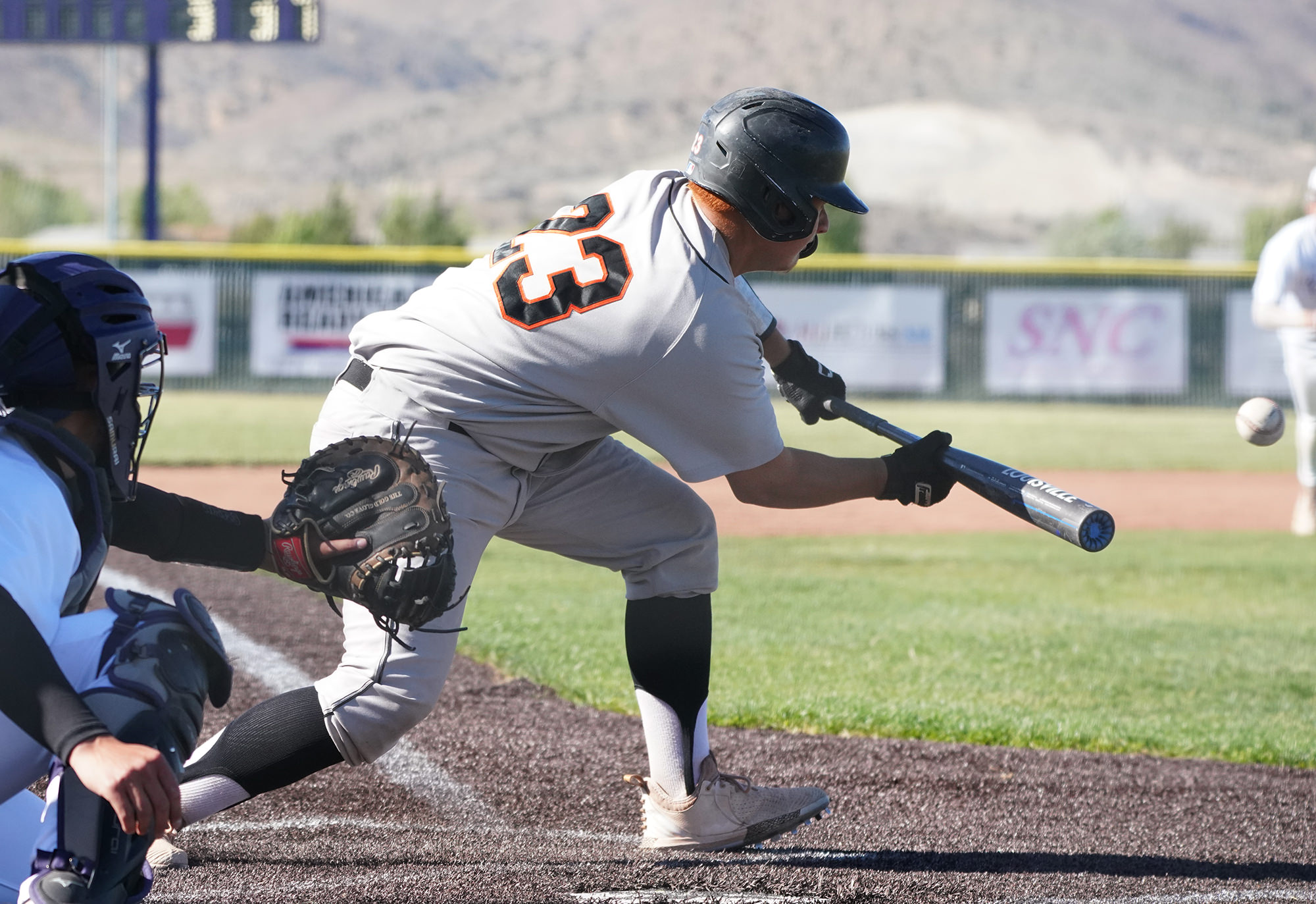 Douglas baseball sees season close, softball gets another home game ...