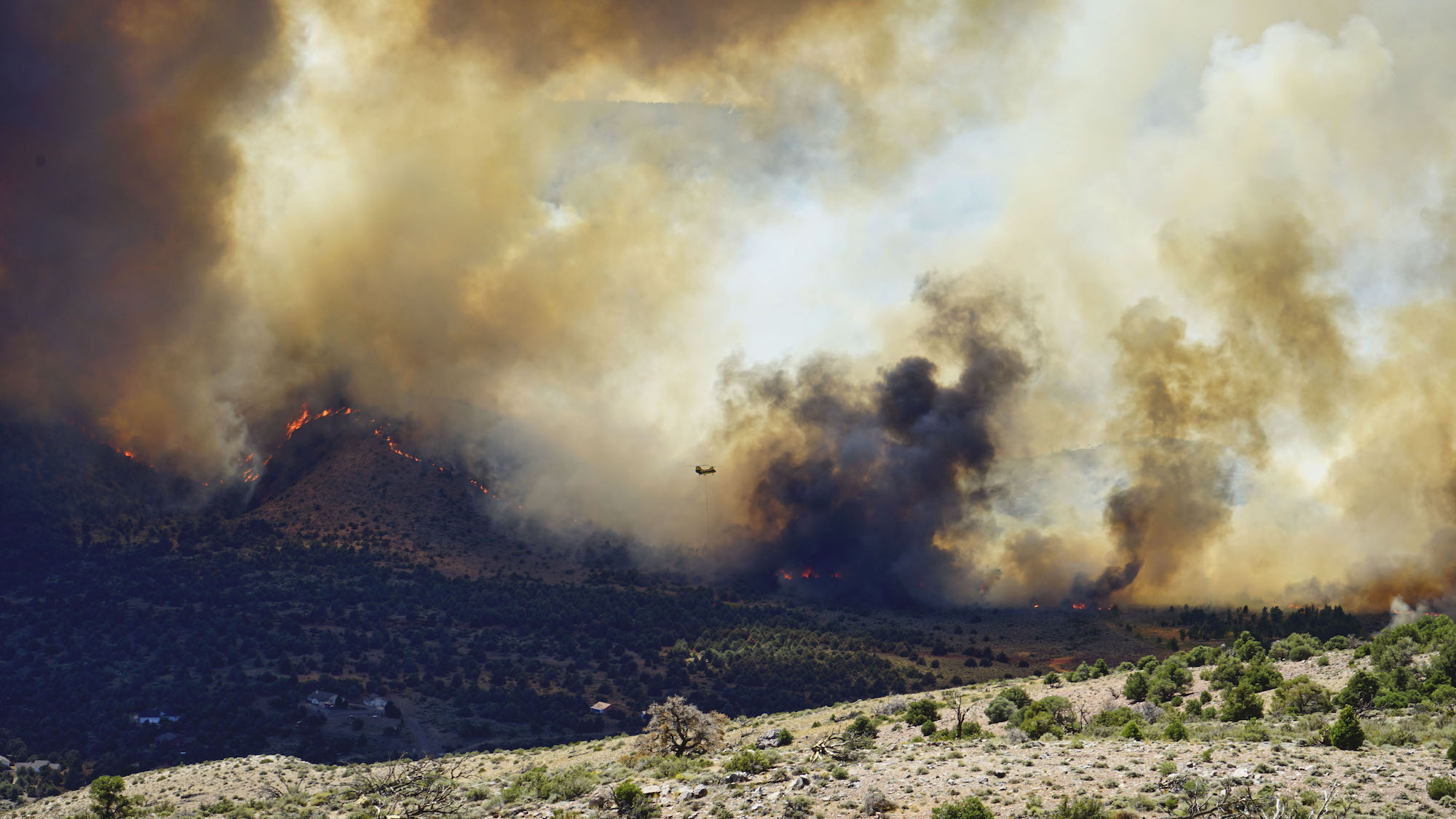 Tamarack Fire damages or destroys 13 structures in Douglas County ...