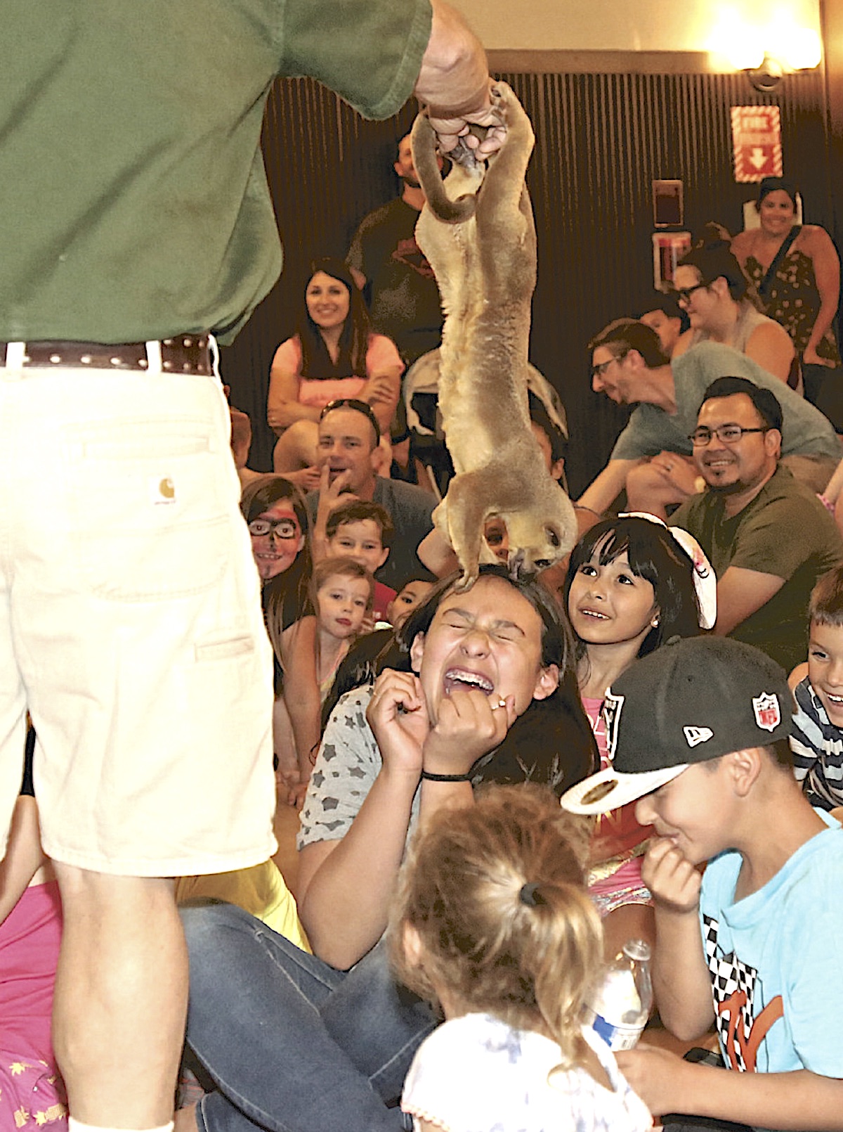 Wildlife shows at CVIC Hall, Zephyr Cove Library on Thursday | Serving ...