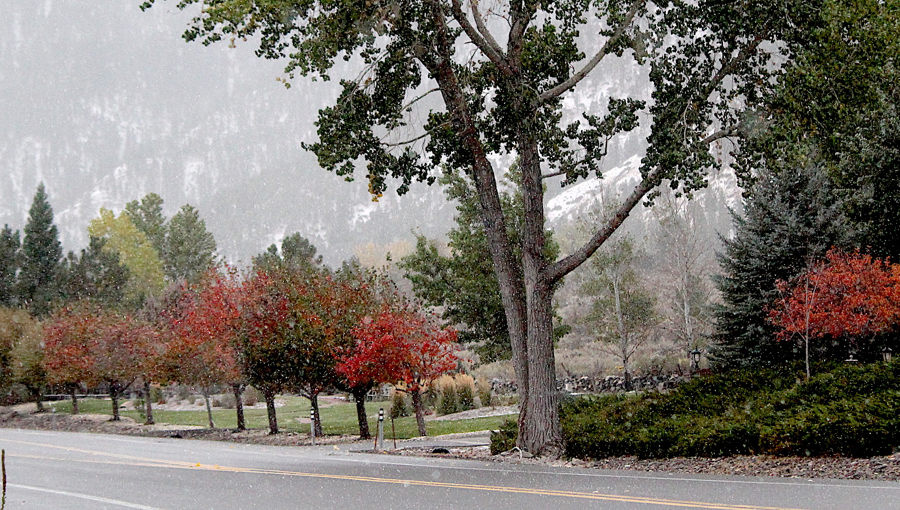 Cold front brings snow showers to Carson Valley floor | Serving Minden ...