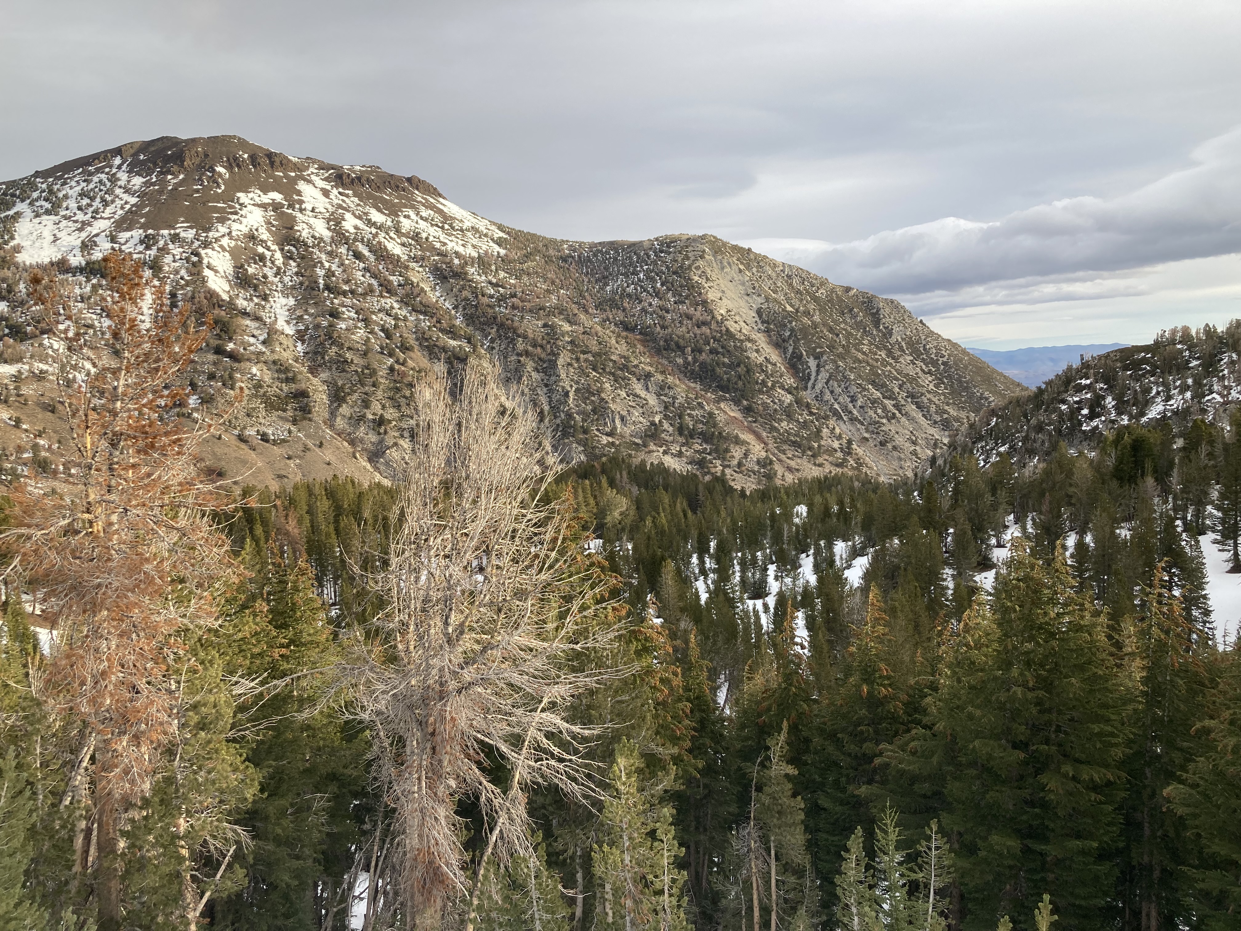 Mount Rose beautiful, but it still has its thorns | Serving Carson City ...