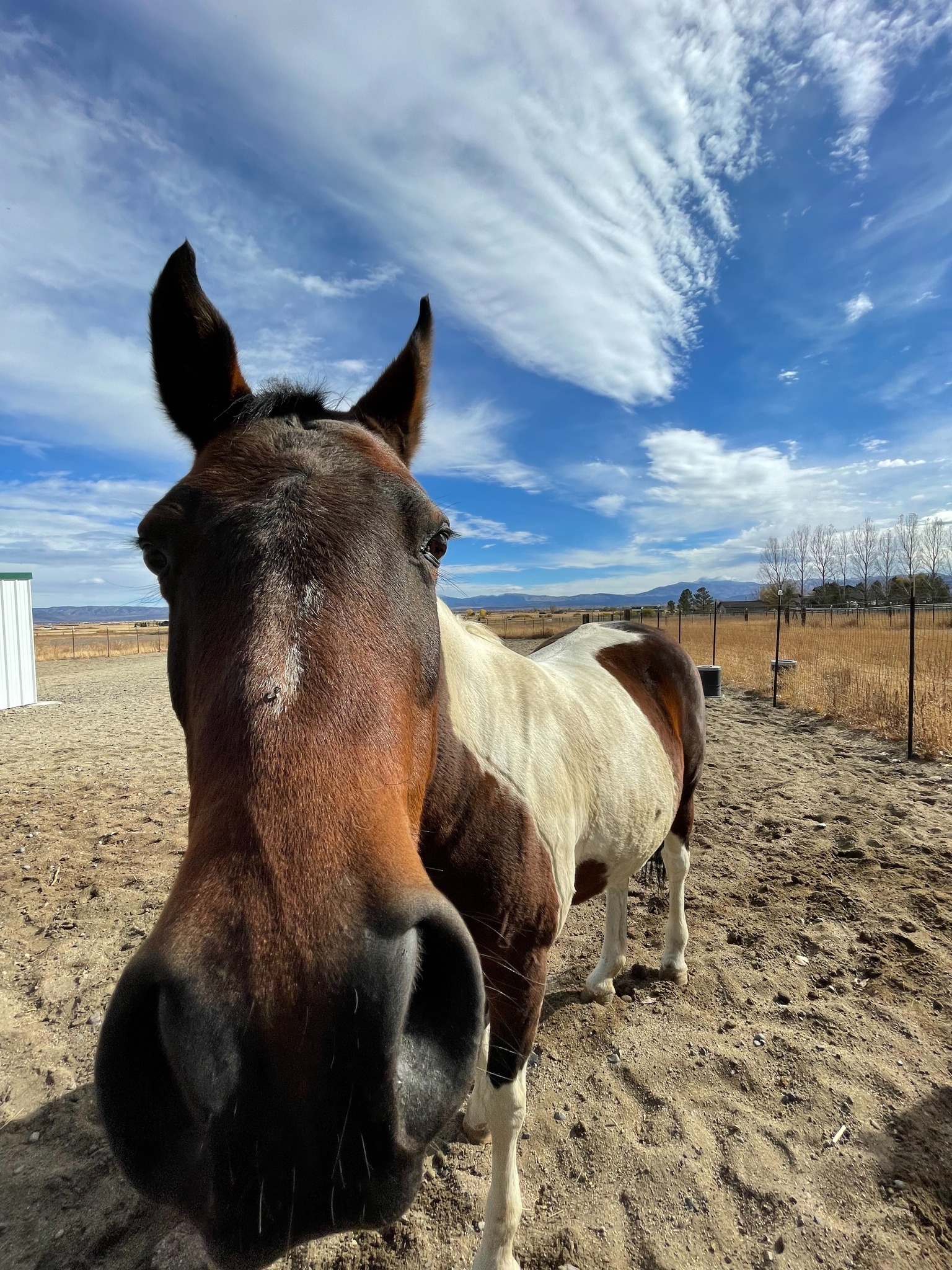 Between Horses and Humans offers new volunteer orientation | Serving ...