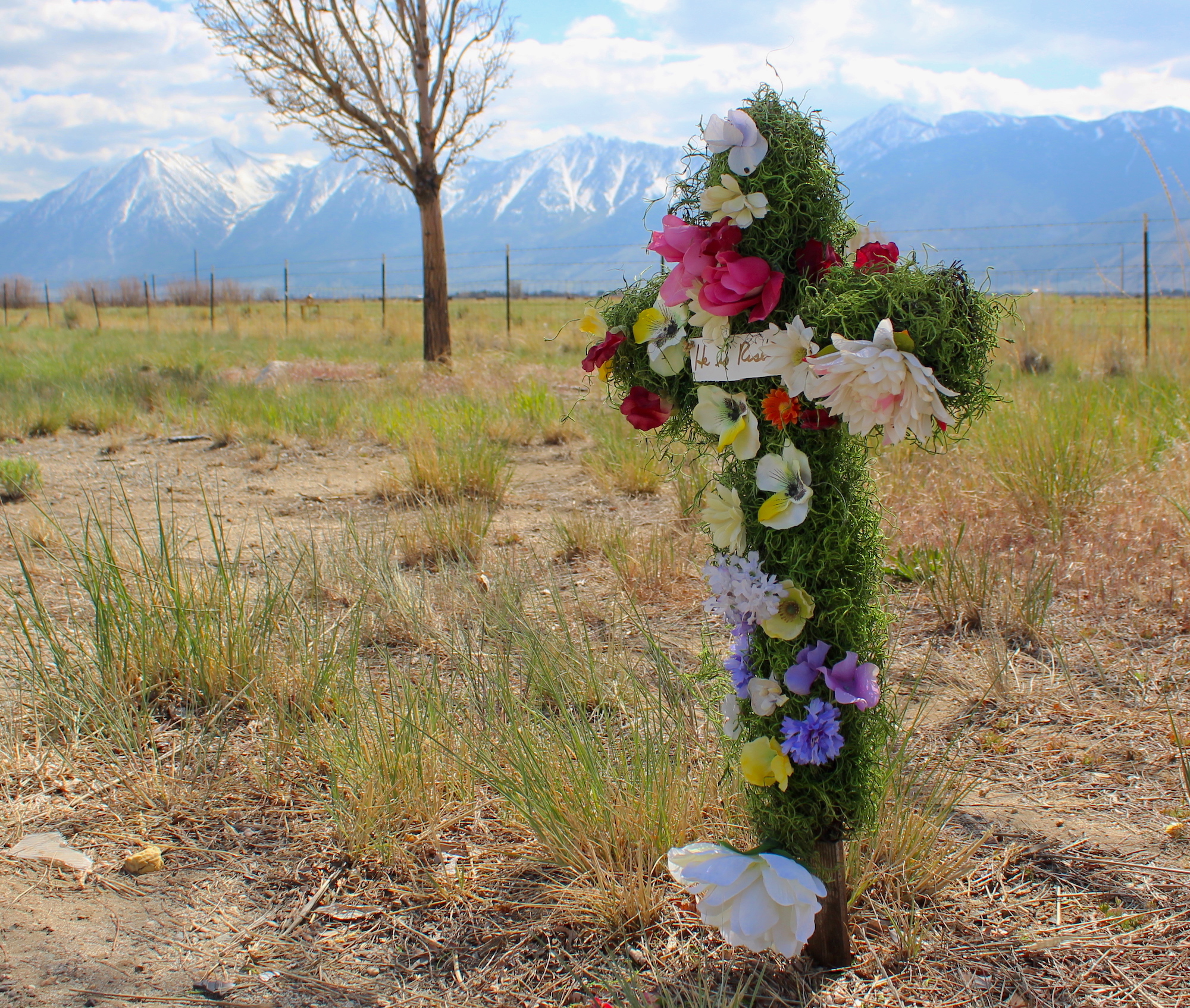 Sisters were on way home when fatal collision occurred | Serving Minden ...