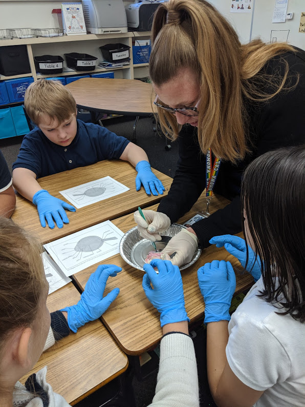 Carson teacher recognized nationally for sustainability | Carson City’s ...