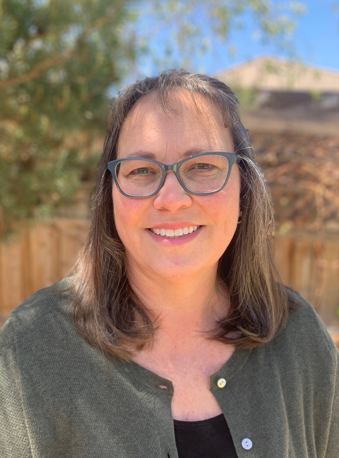 Western Nevada College names interim vice president | Carson City’s ...