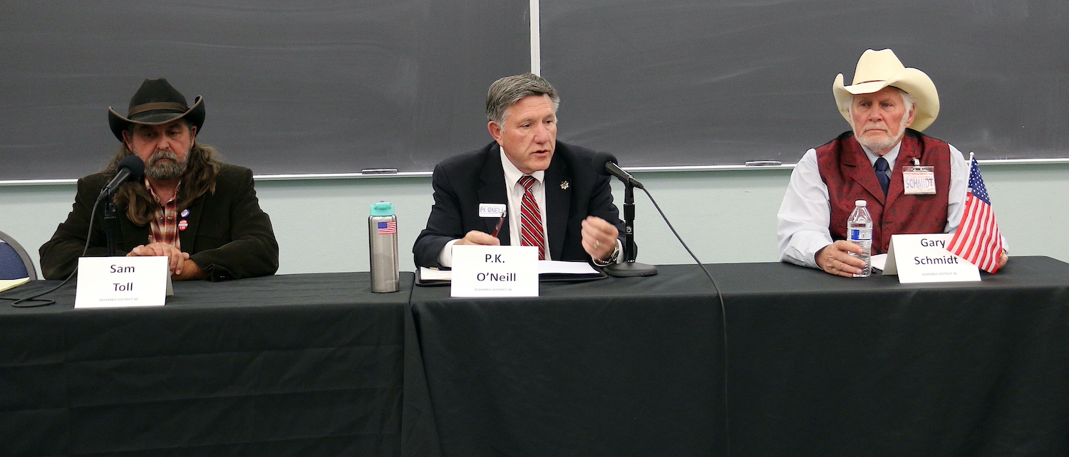 Assembly candidates: No more tax incentives, more transparency | Carson ...