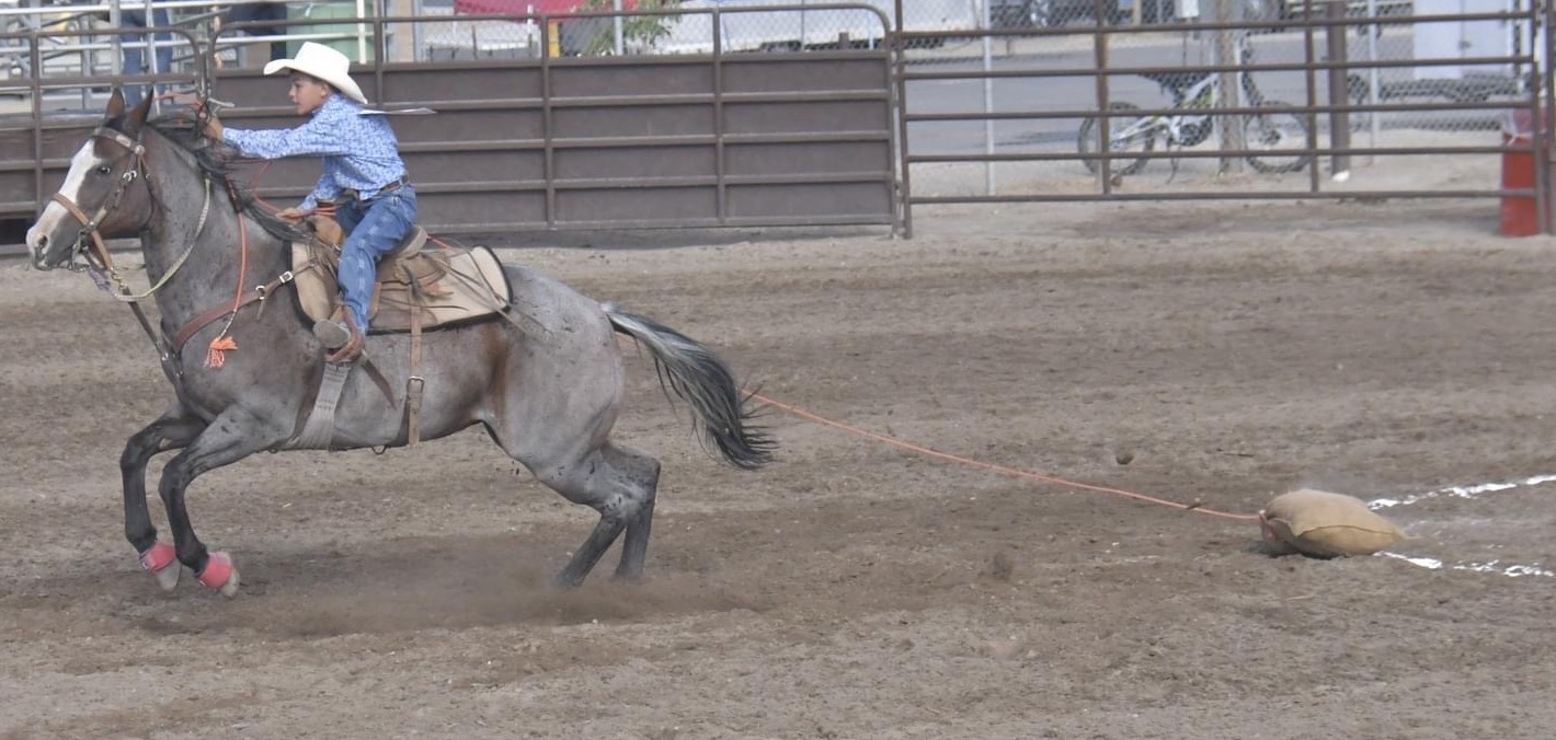Bighorn News: Oasis students strong at Junior Rodeo | Carson City’s ...