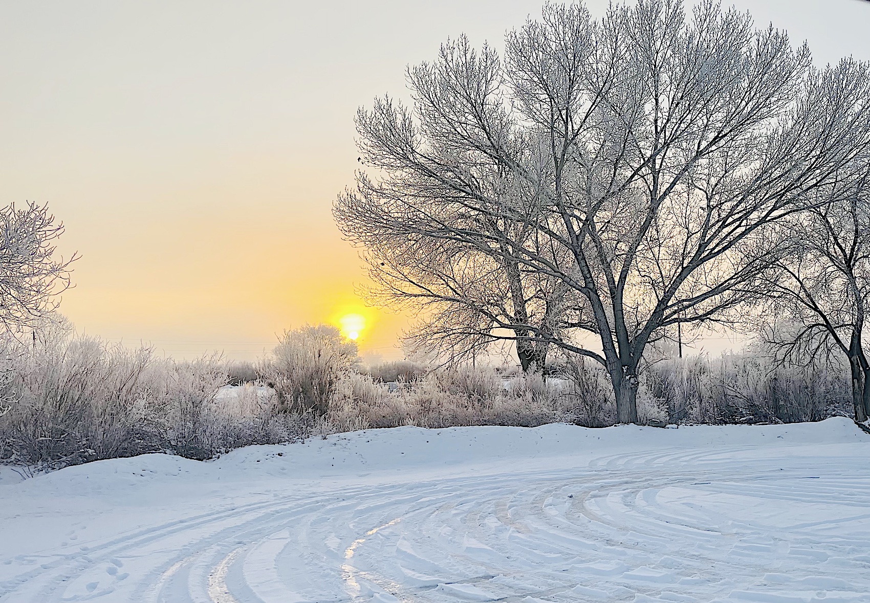 The Dec. 16, 2022, R-C Morning Report | Serving Minden-Gardnerville and ...