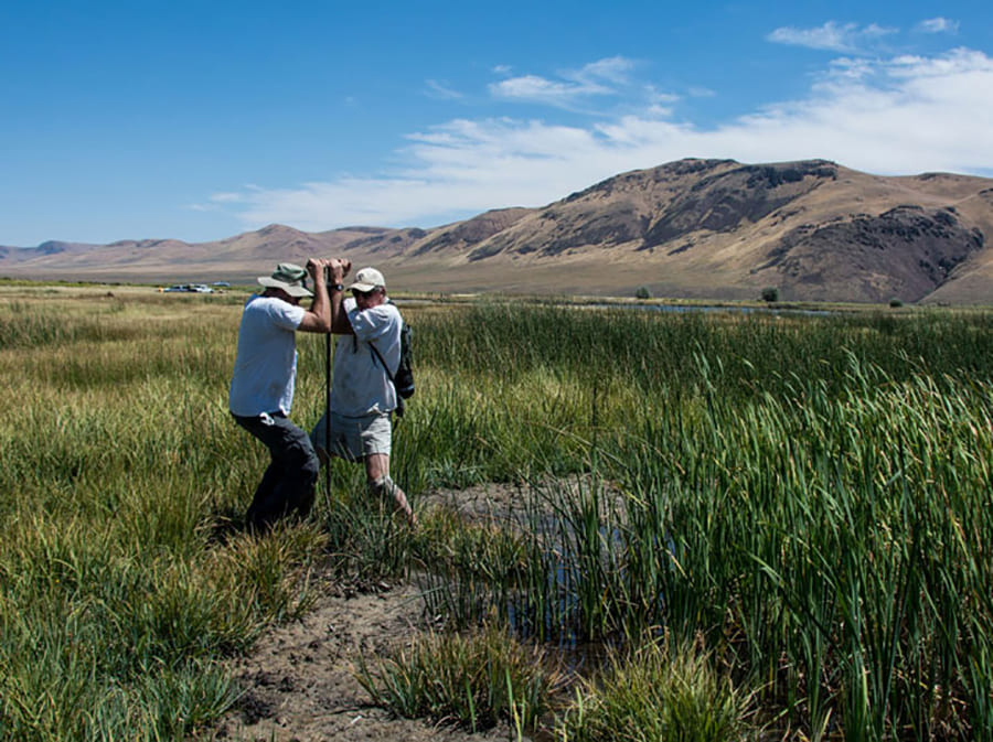 Centuries-long drought in the Great Basin could be recurring pattern ...