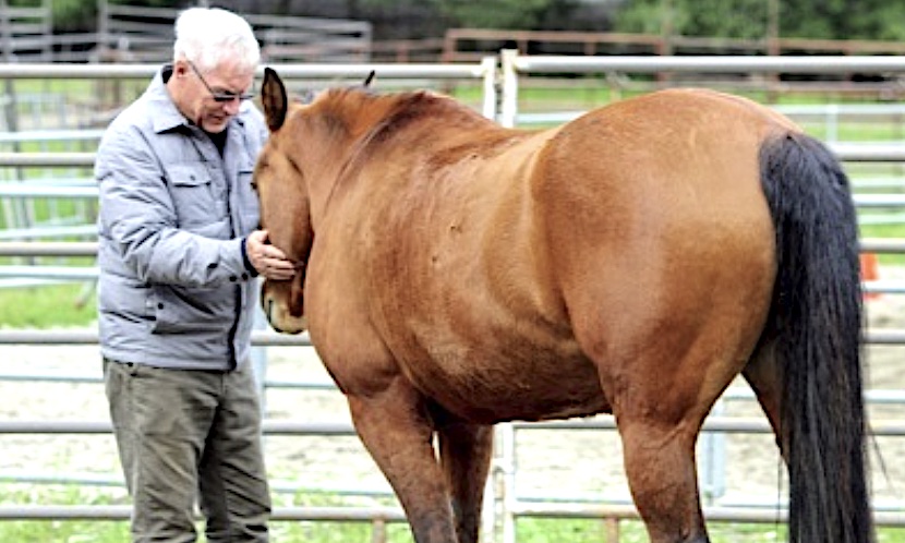 Kids & Horses host dementia workshops | Serving Minden-Gardnerville and ...