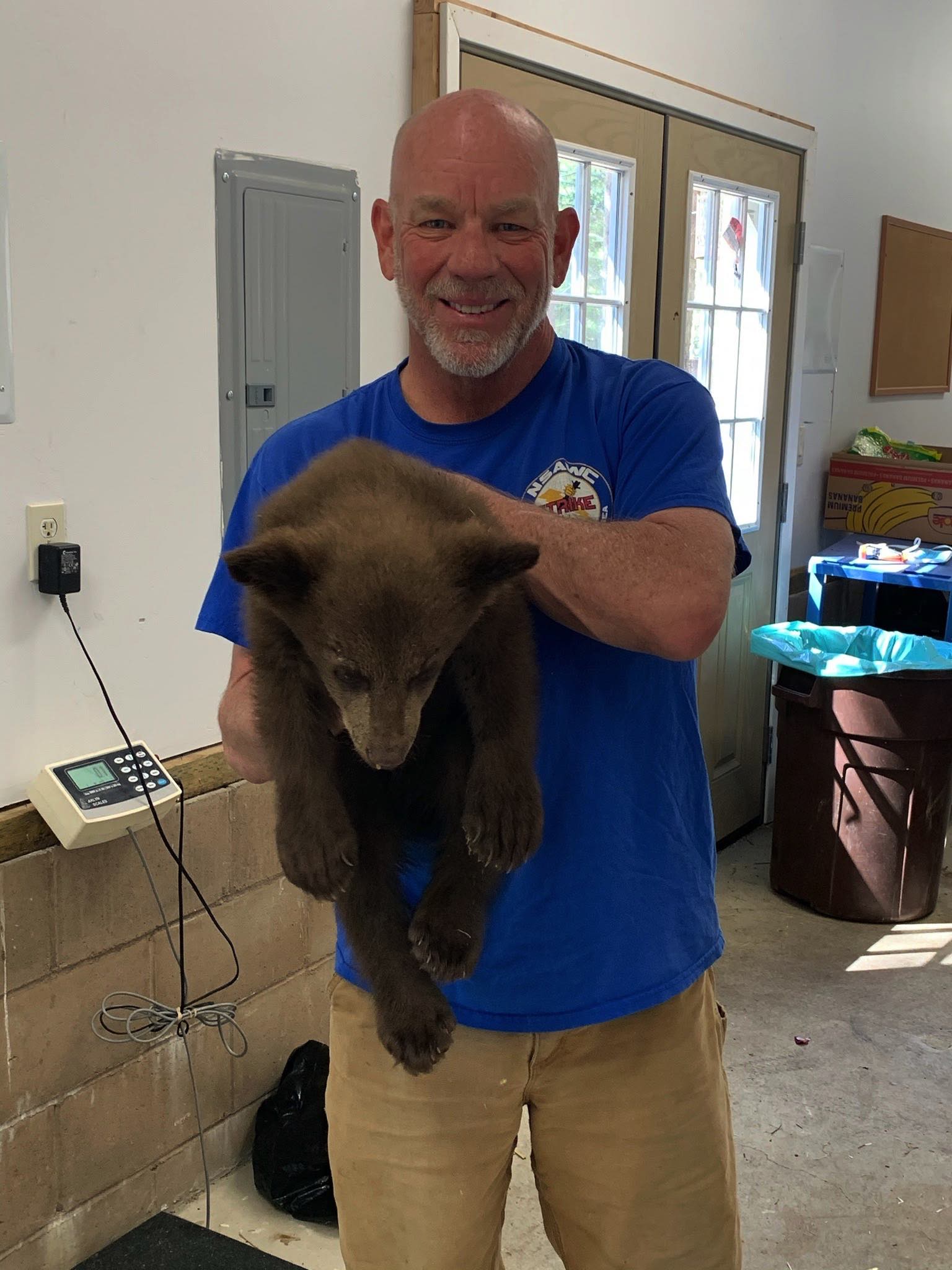Urbanized black bear expert to speak to Carson City Rotarians | Carson ...