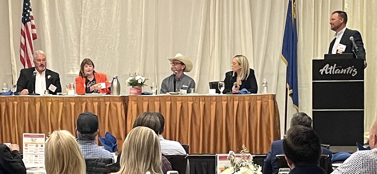 Four area mayors discuss local, regional challenges | Carson City’s ...