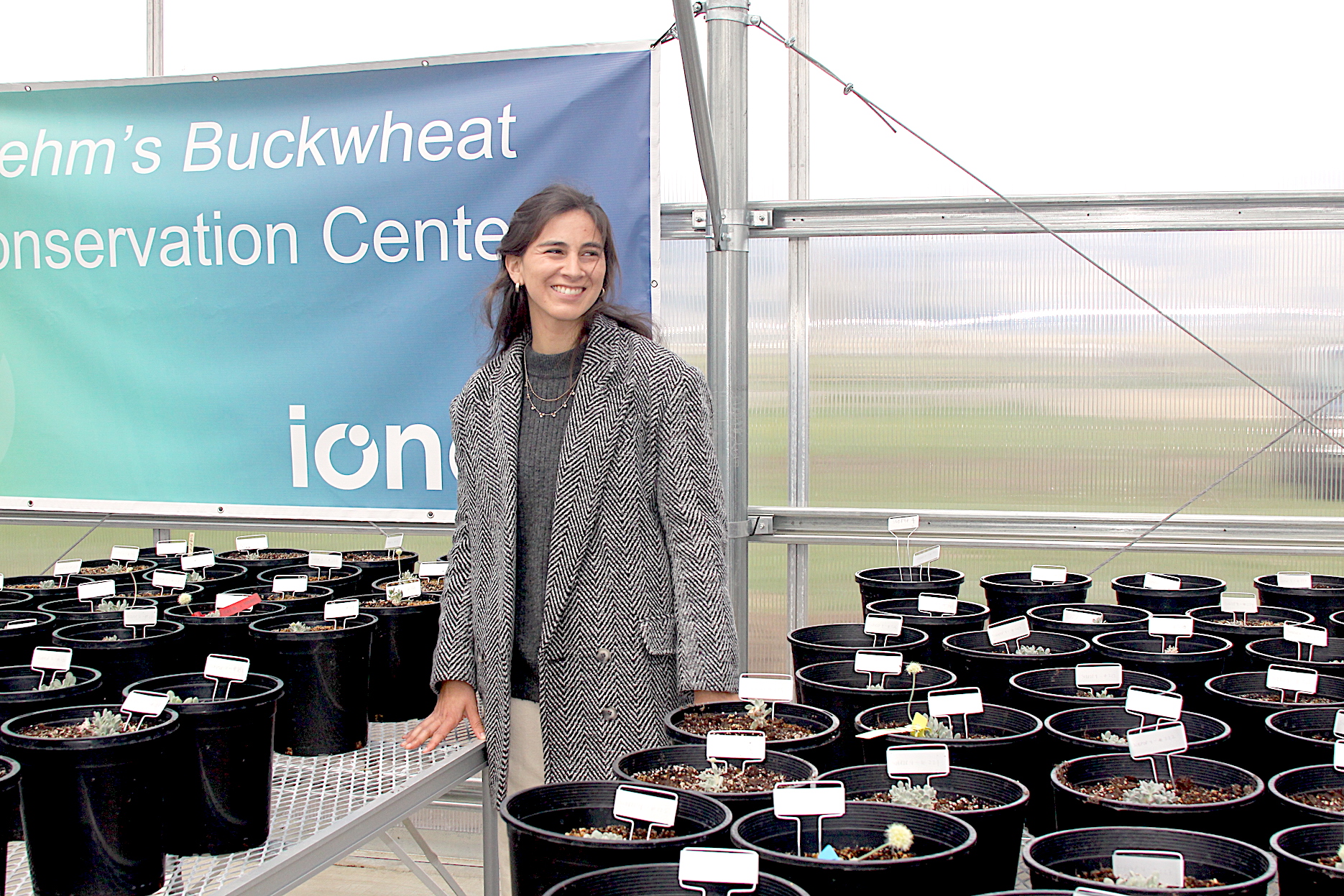 Gardnerville greenhouse preserves endangered plant | Serving Minden ...