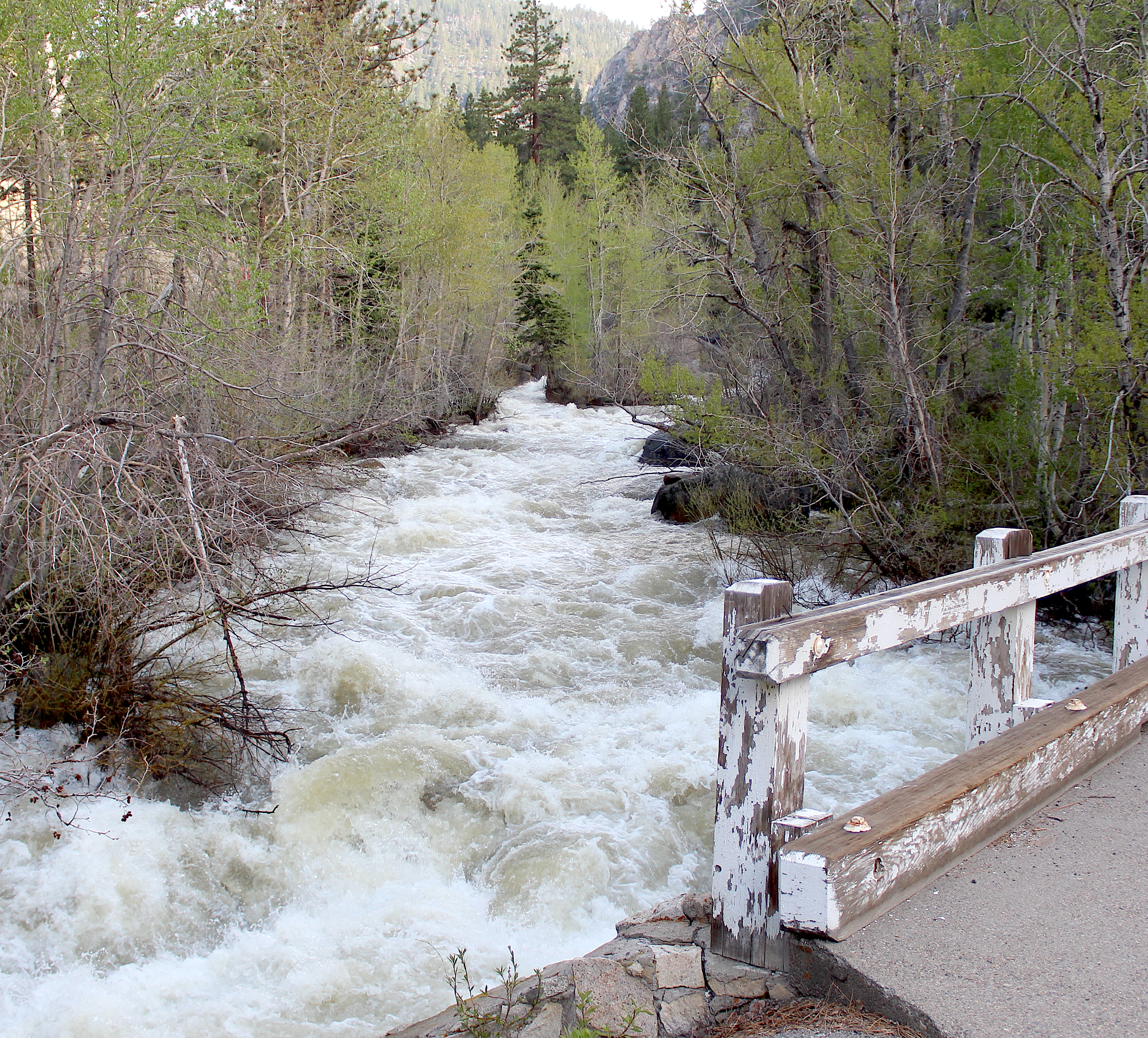 Thunderstorms prompt flood watch | Serving Minden-Gardnerville and ...