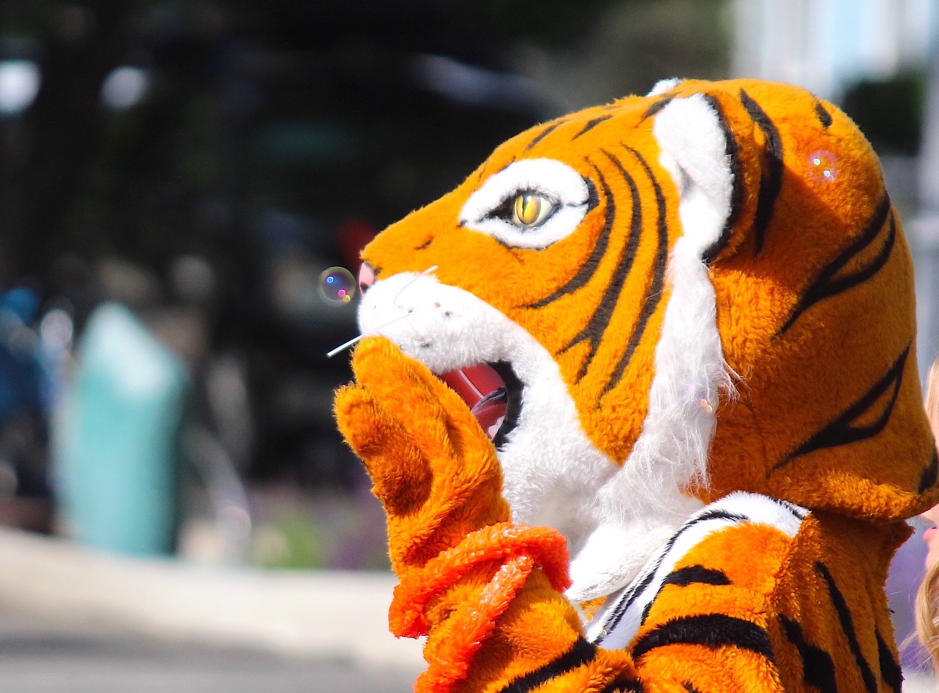 ‘Come on Tigers, let’s go party’ for Homecoming | Serving Minden ...