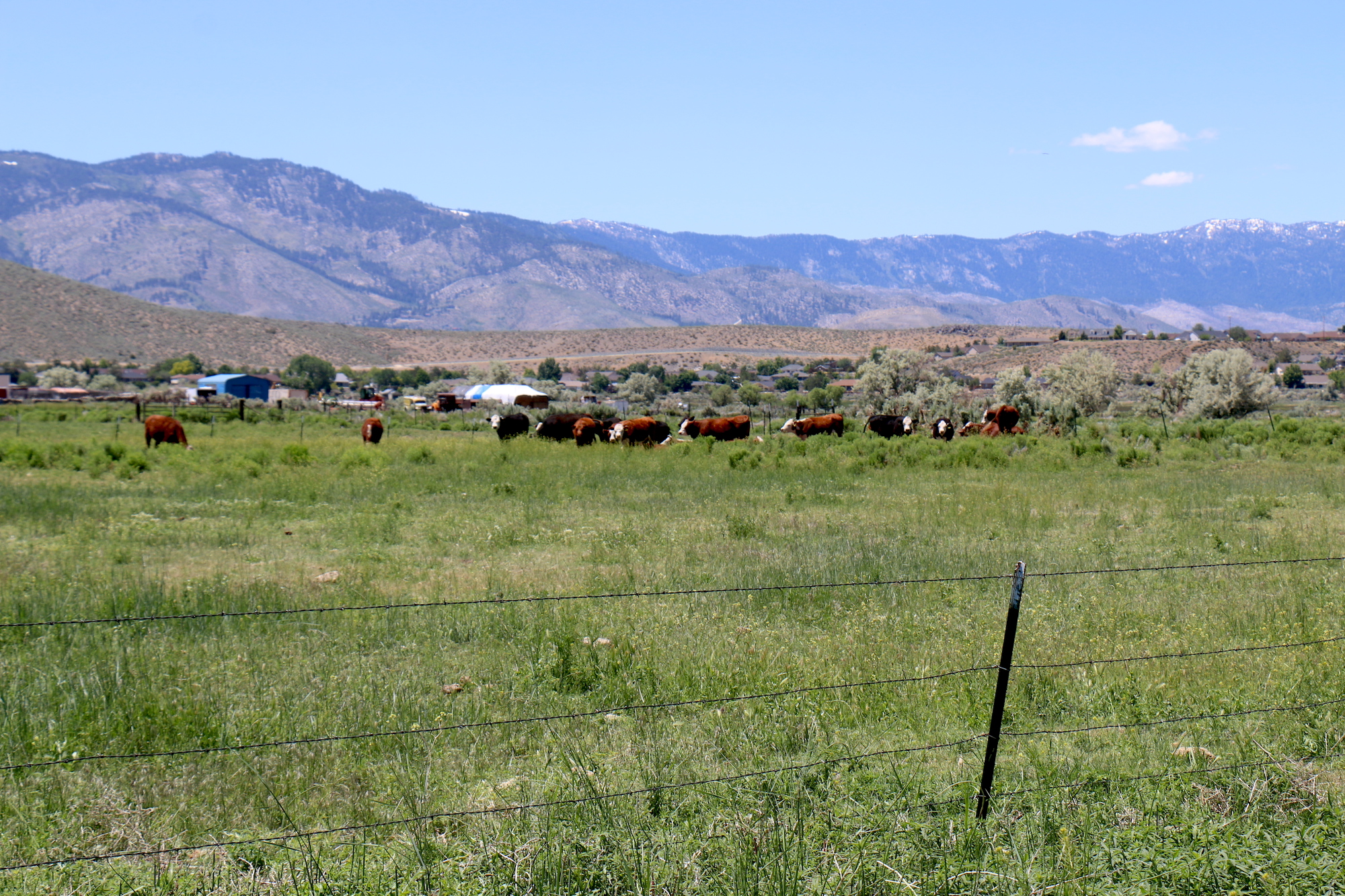City eyeing water rights for Buzzy’s Ranch | Carson City’s Trusted News ...
