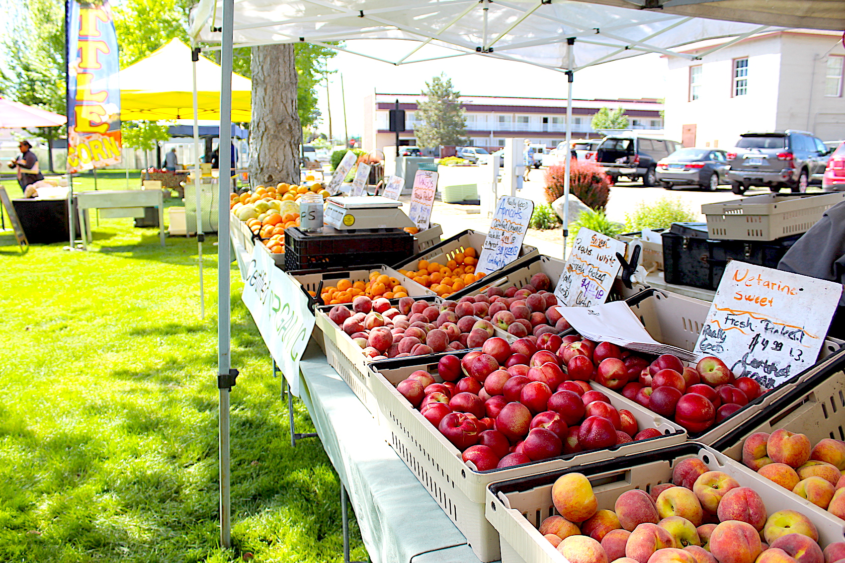 Valley’s markets and mingles kick off summer | Serving Minden ...