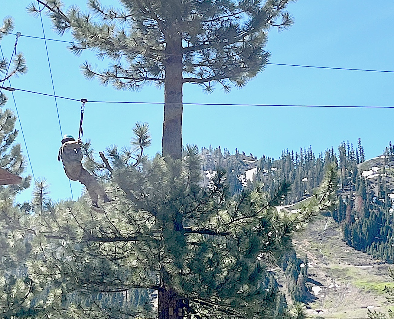 Dozen Tigers in Jr. ROTC Leadership Challenge | Serving Minden ...