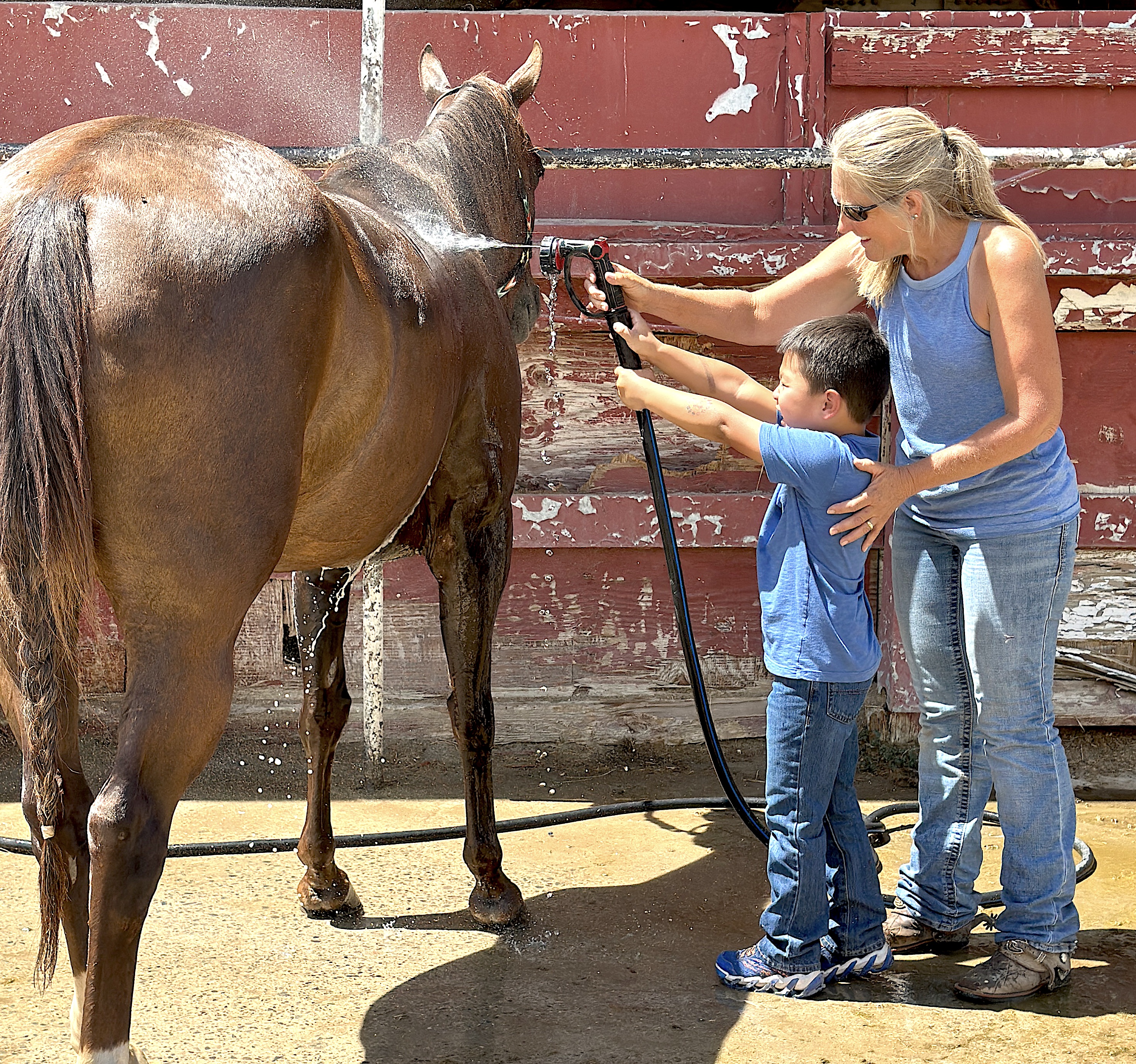 Ag Advantage sprouts in Douglas County | Serving Minden-Gardnerville ...