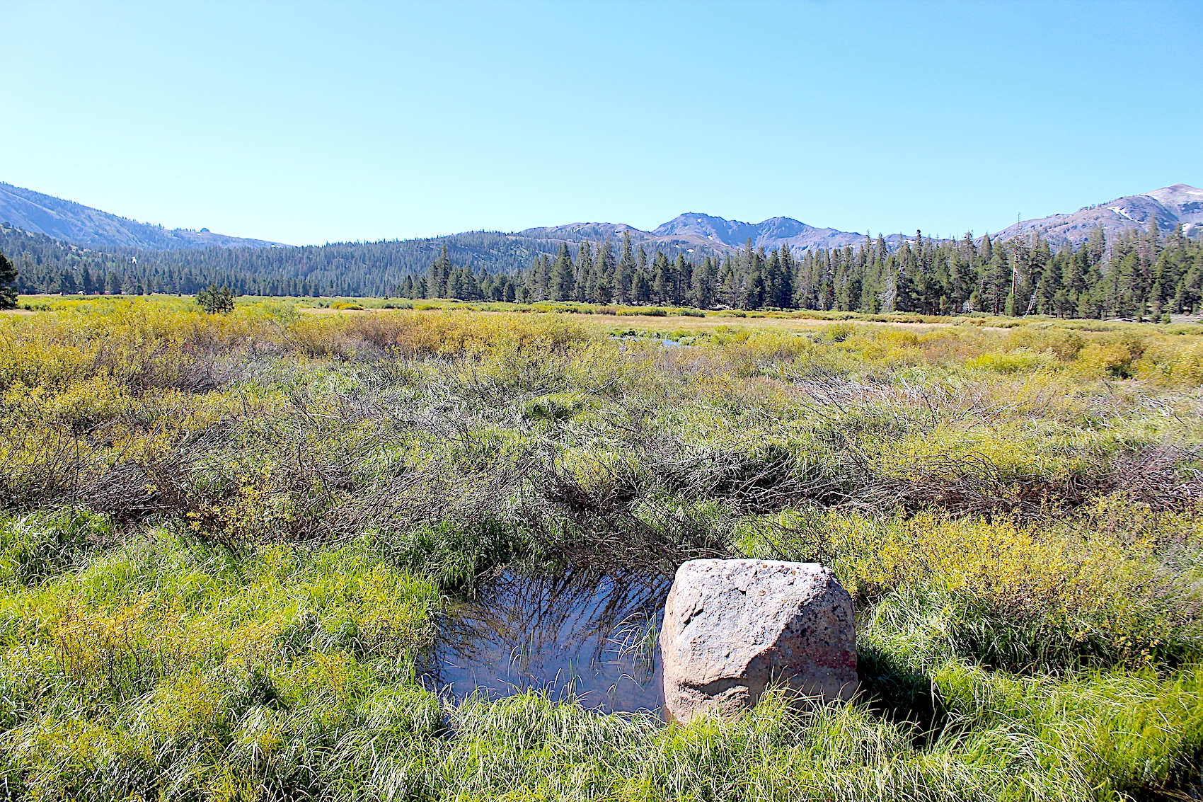 Faith Valley Meadow closed to dispersed camping through Halloween ...