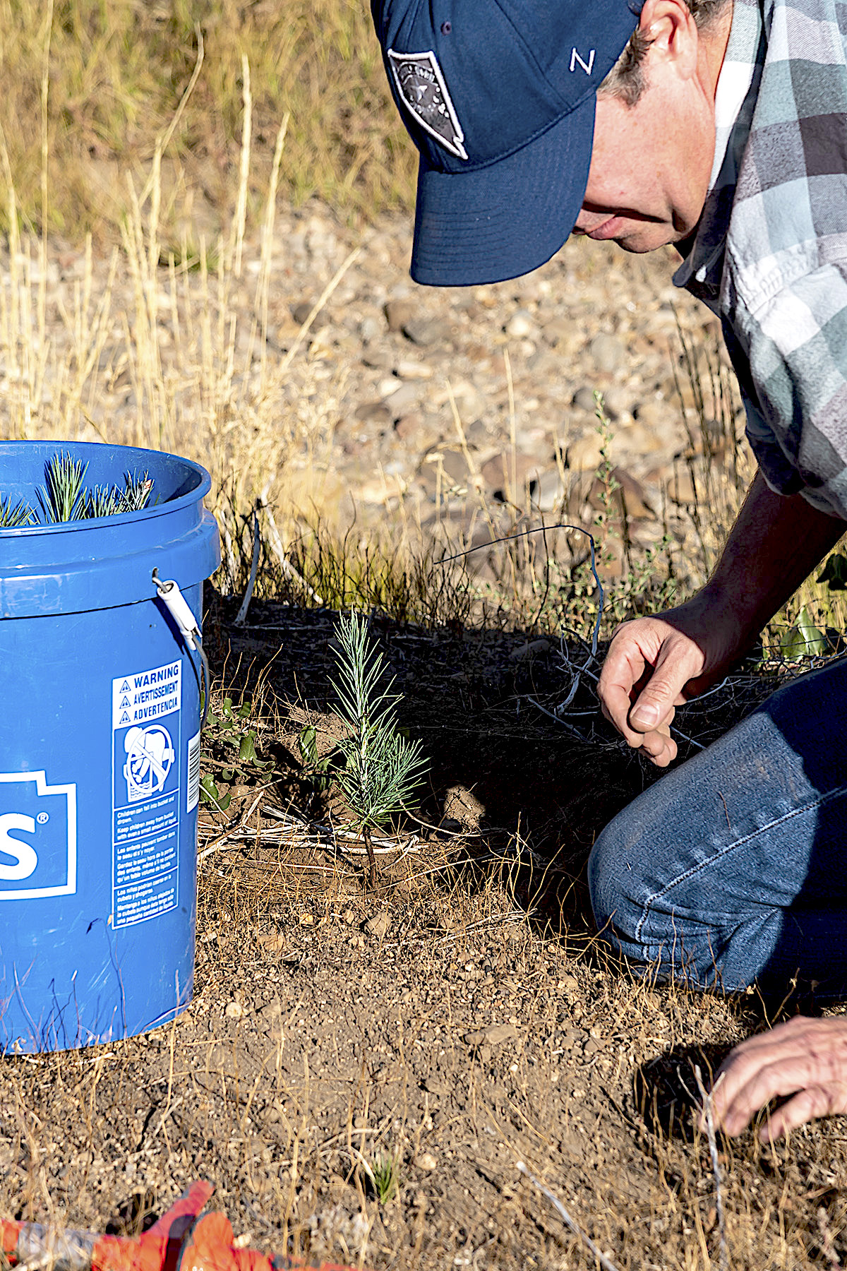 Volunteers flock to Turtle Rock Park to plant trees | Serving Minden ...