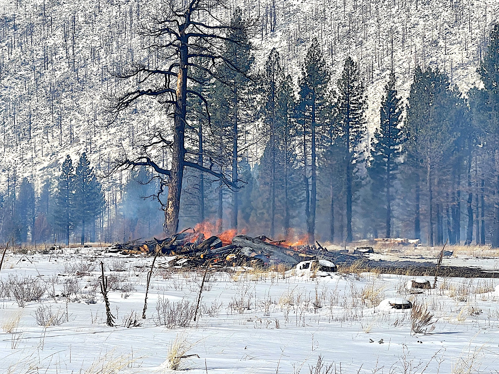 Alpine burning moves to Markleevillage | Serving Minden-Gardnerville ...