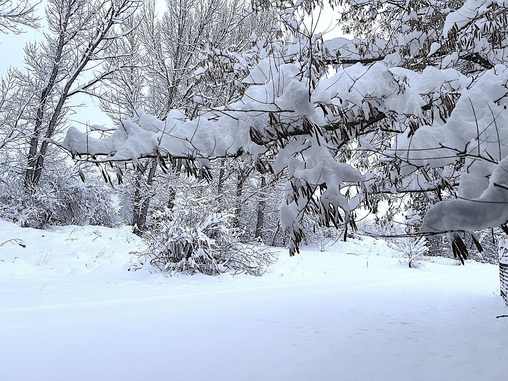 Snow day for schools and county office workers | Serving Minden ...