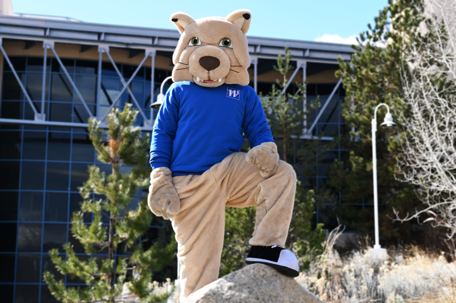 Notebook: Mascot scholarship helps student attend WNC | Carson City’s Trusted News Source Since 1865
