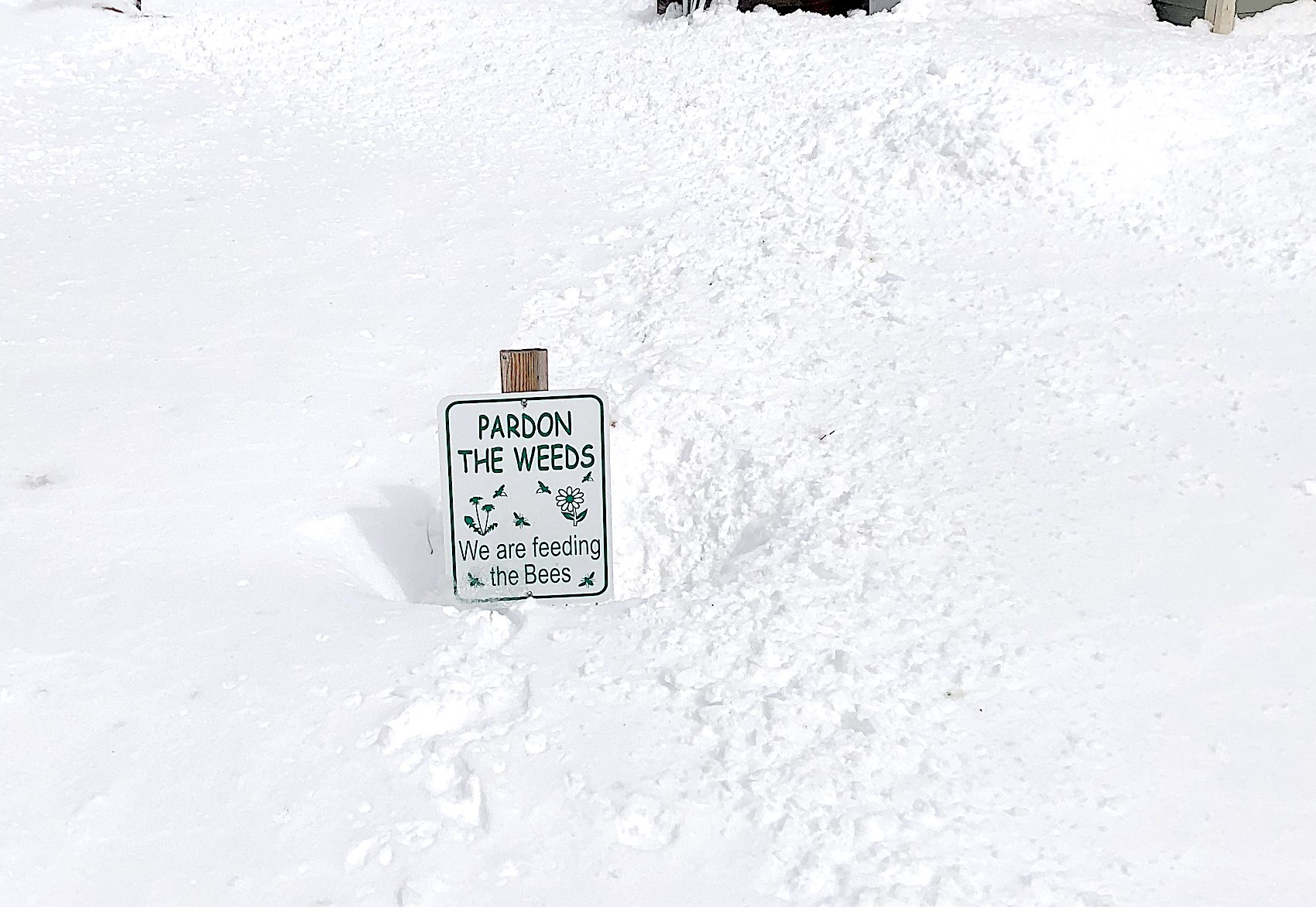 Bee conference starts Friday | Serving Minden-Gardnerville and Carson ...