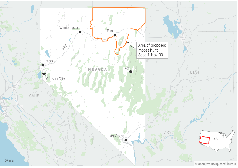 Nevada’s first big-game moose hunt will be tiny | Carson City’s Trusted ...