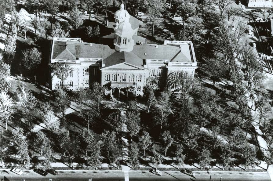 Capitol embarks on comprehensive tree project | Carson City’s Trusted ...