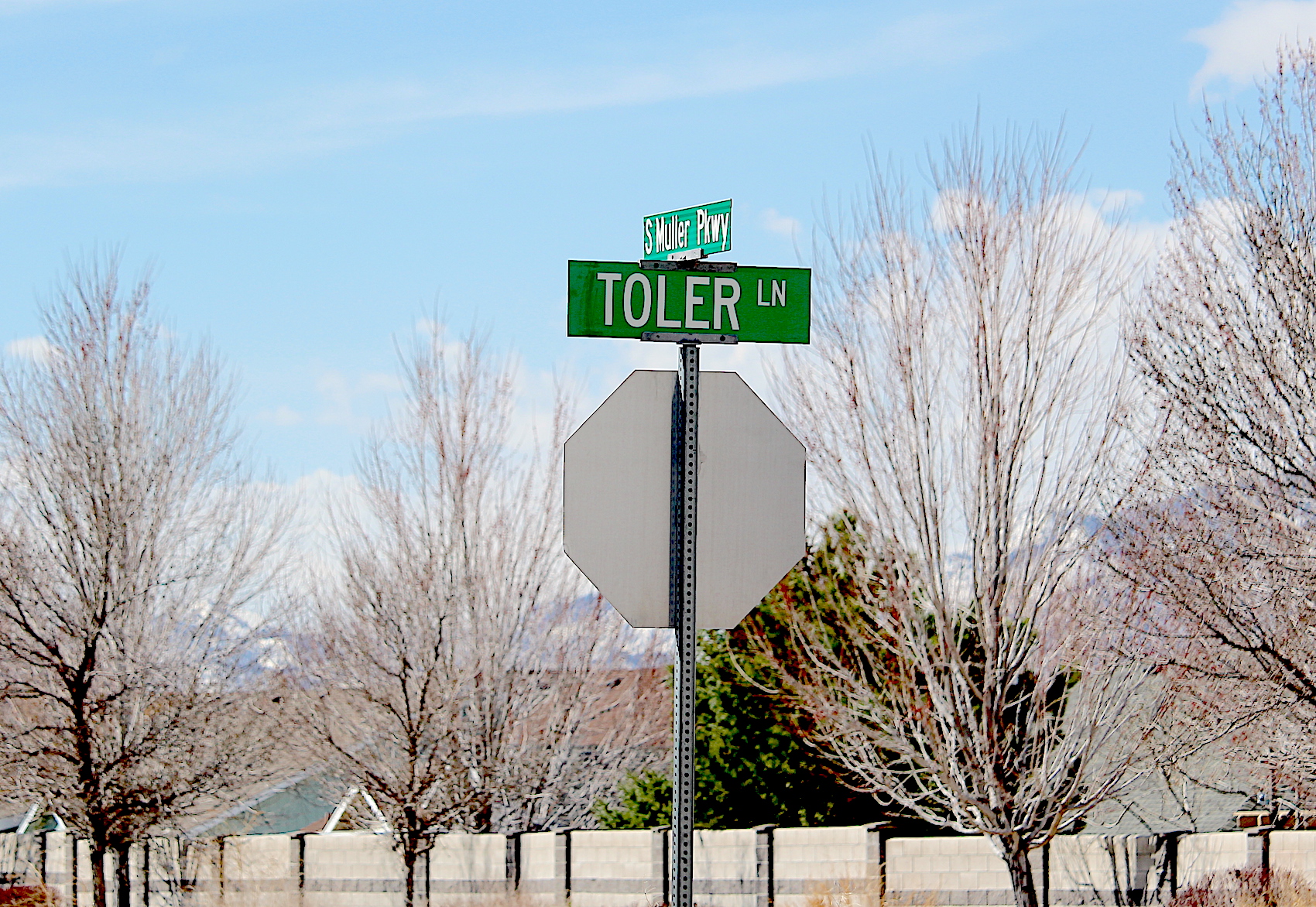 Irrigation panel takes no action on Parkway | Serving Minden ...