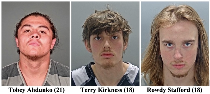 Gang fight yields 14 arrests by Carson sheriff | Carson City’s Trusted ...