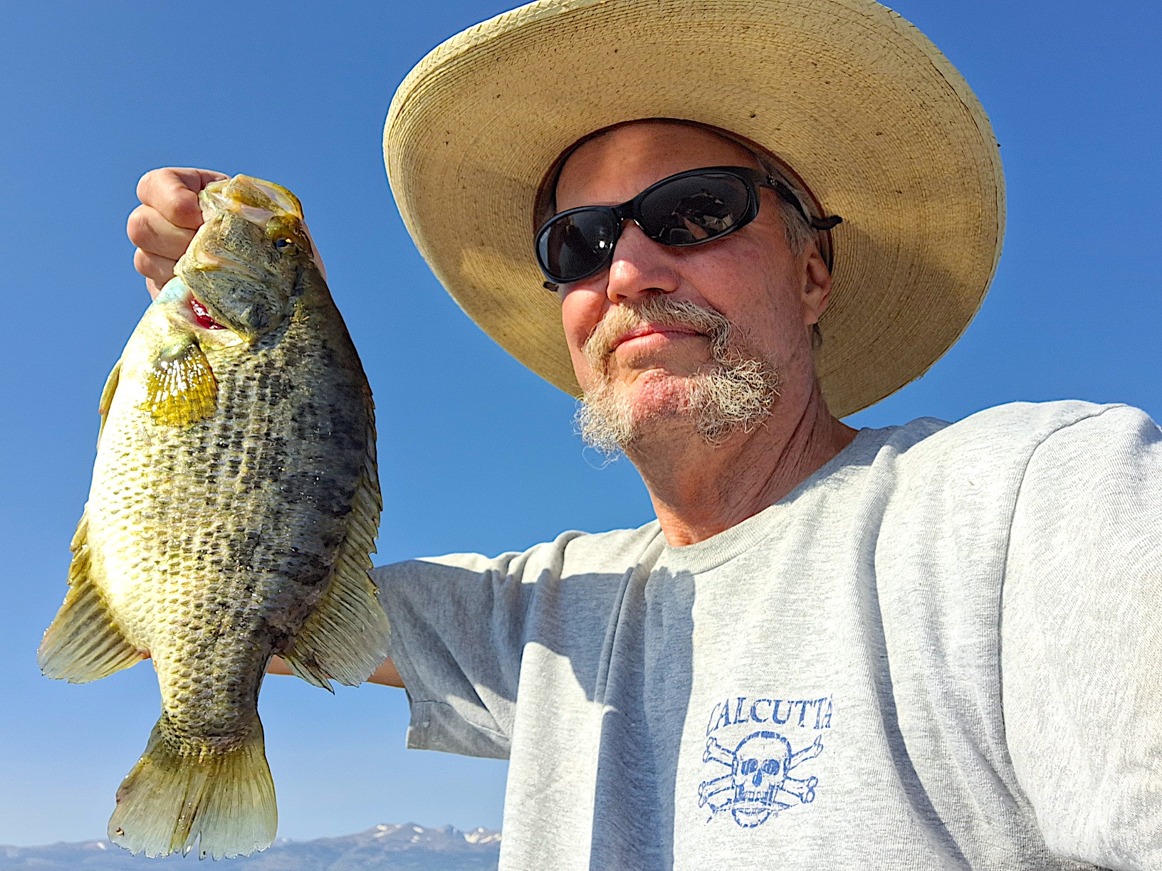 Good fishing down in Bridgeport | Serving Minden-Gardnerville and ...