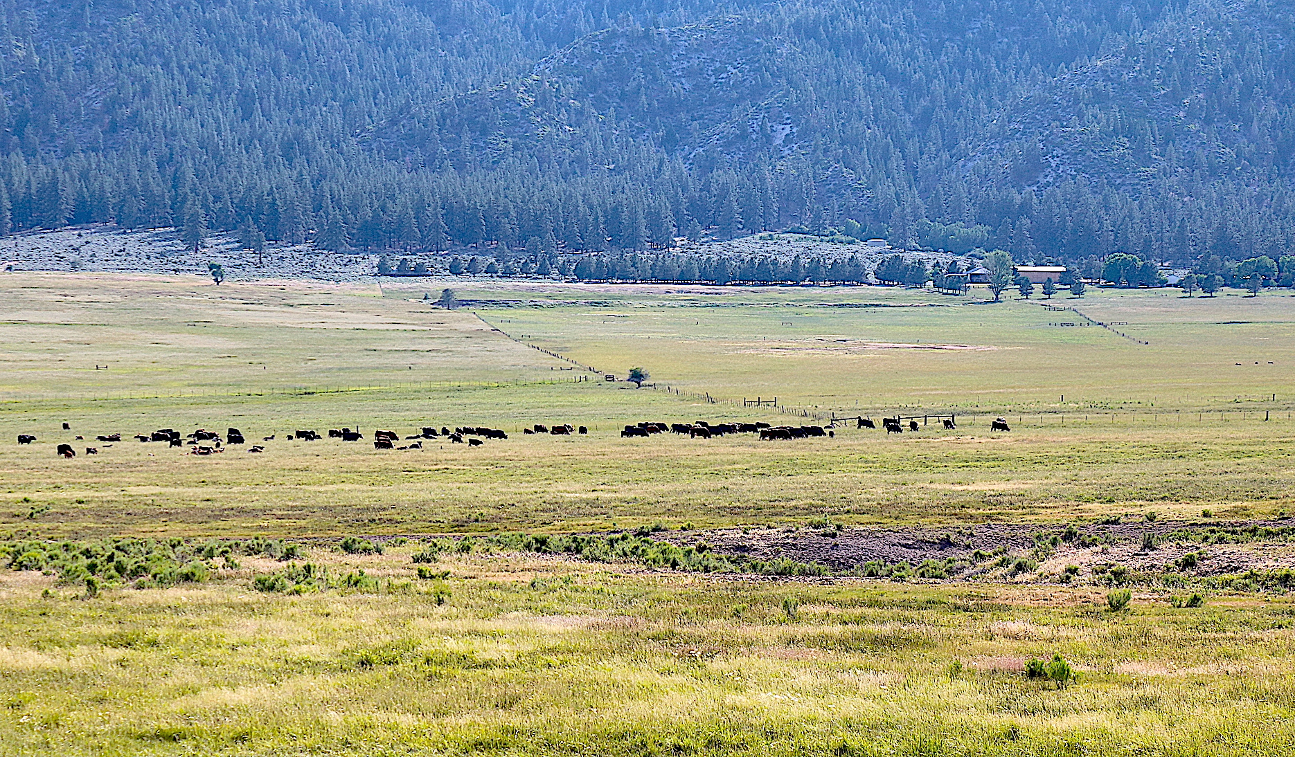 Jacks Valley Ranch sells for $18 million | Carson City’s Trusted News ...