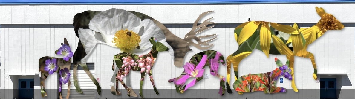 Cultural Commission approves ‘gorgeous’ murals | Carson City’s Trusted ...