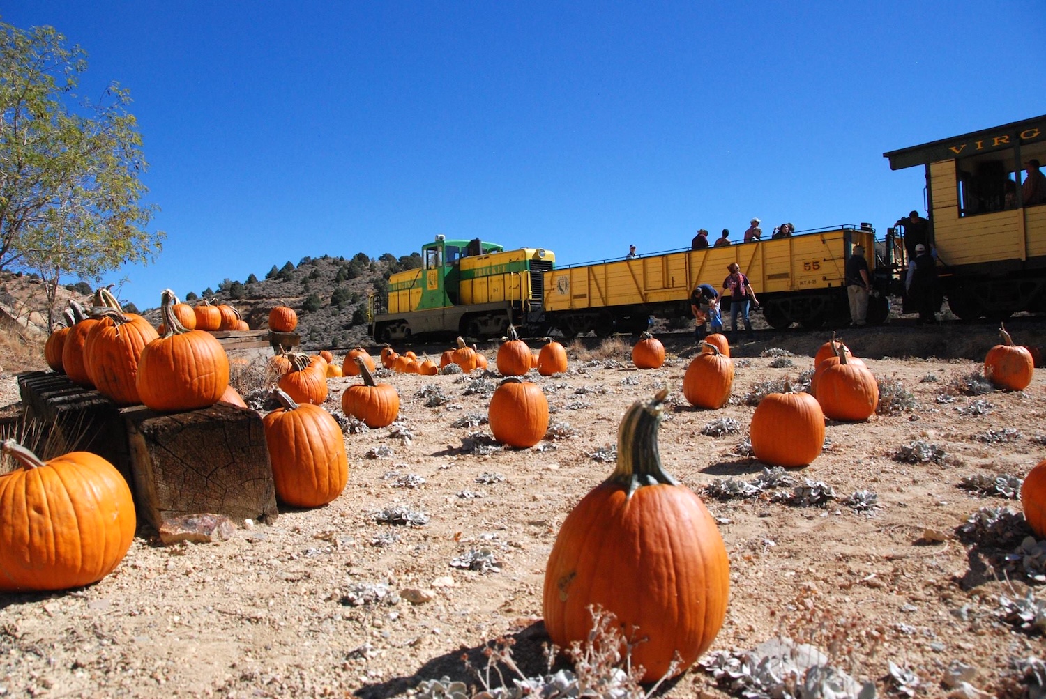 Halloween-themed train rides at Virginia Truckee Railroad | Carson City ...