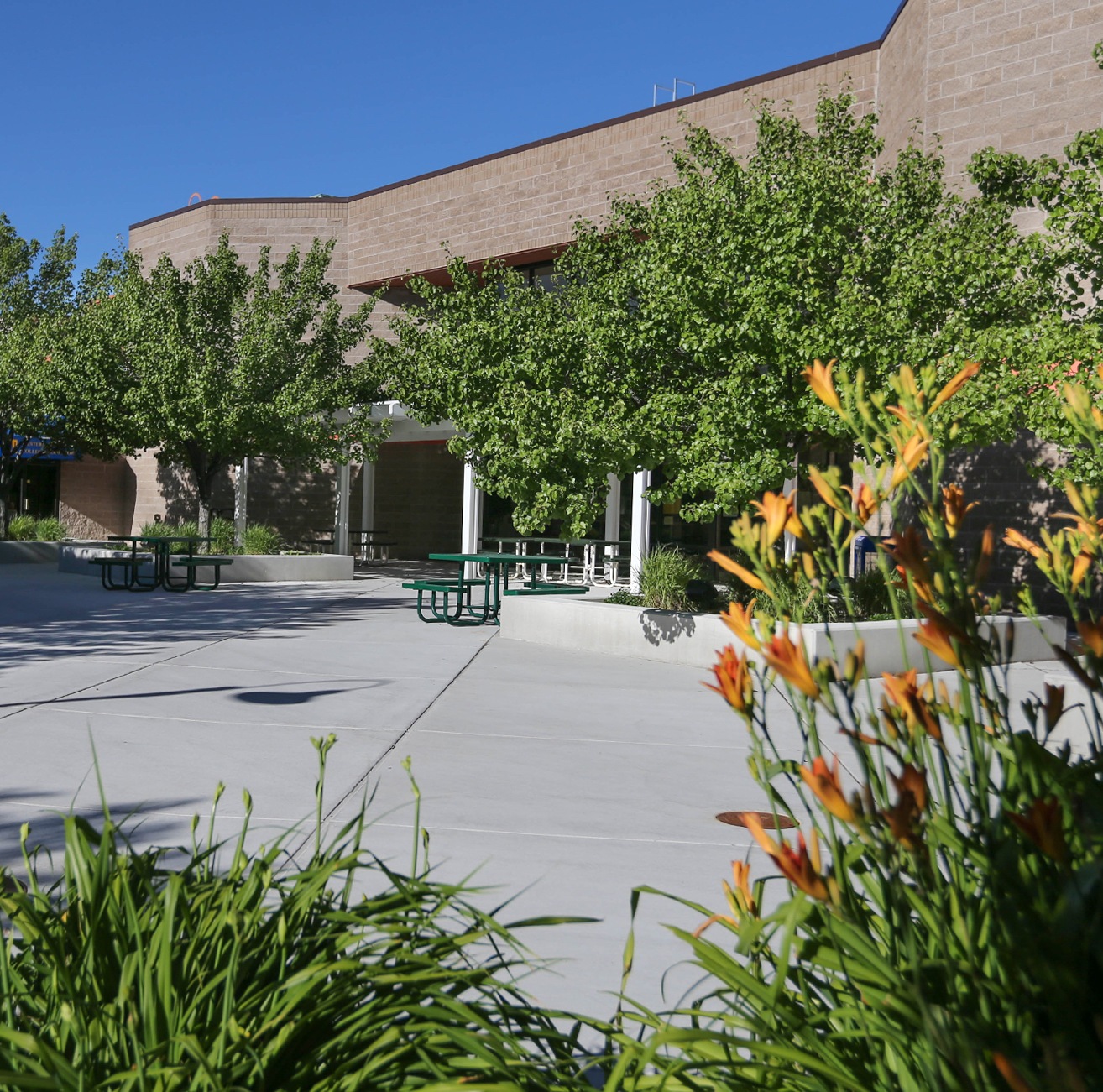 Registration for WNC spring semester starts today | Carson City’s ...