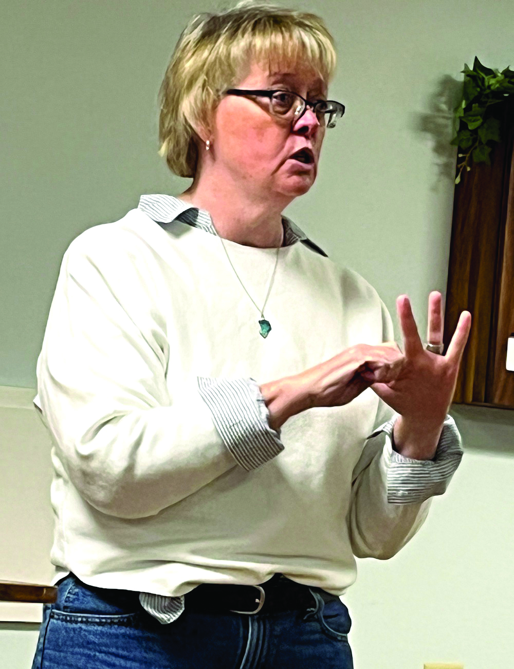 NDVS director: Veterans to see changes, improvements | Carson City’s ...