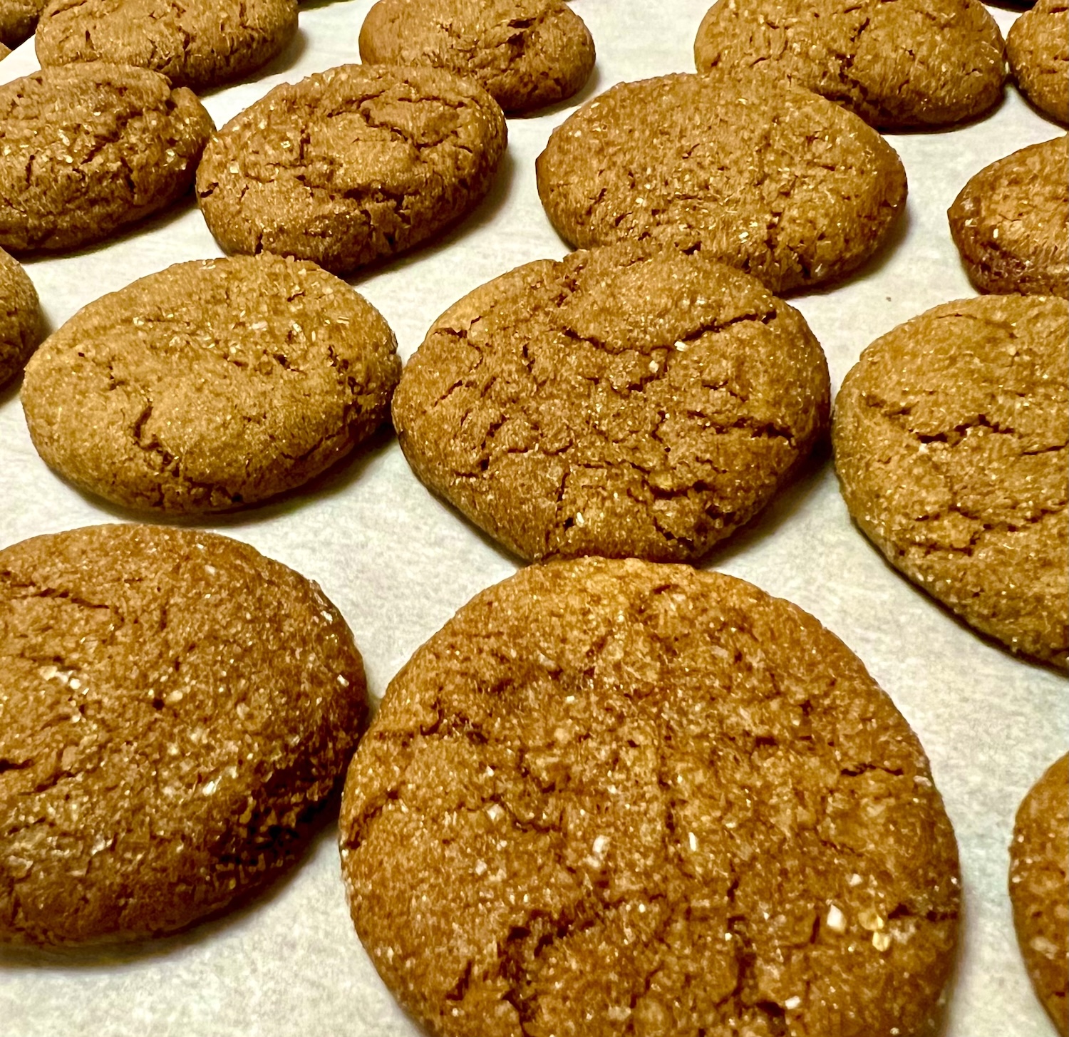 Elaine Marriott: Copycat: Ginger molasses cookie (recipe) | Carson City ...
