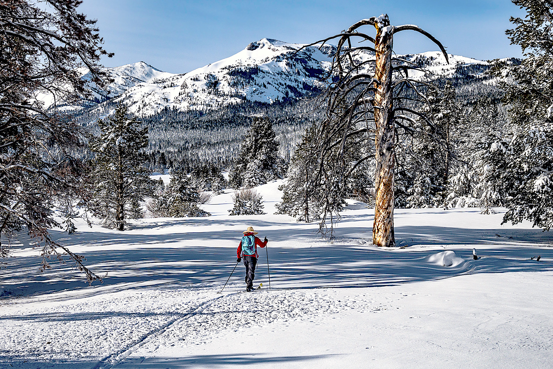 Storms bring snowpack near median | Serving Minden-Gardnerville and ...