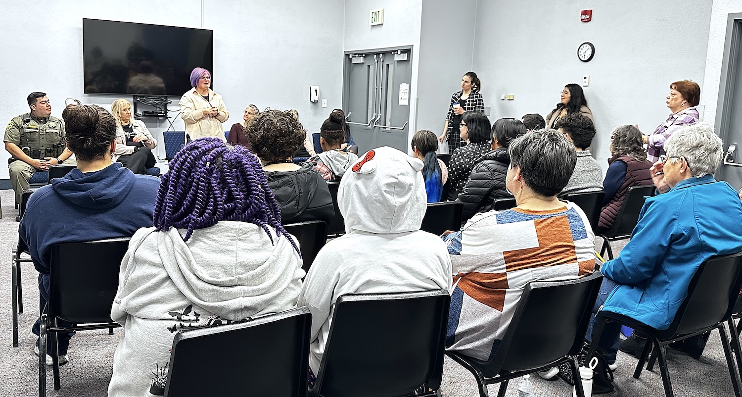 Carson City panel addresses teen dating violence | Carson City’s ...