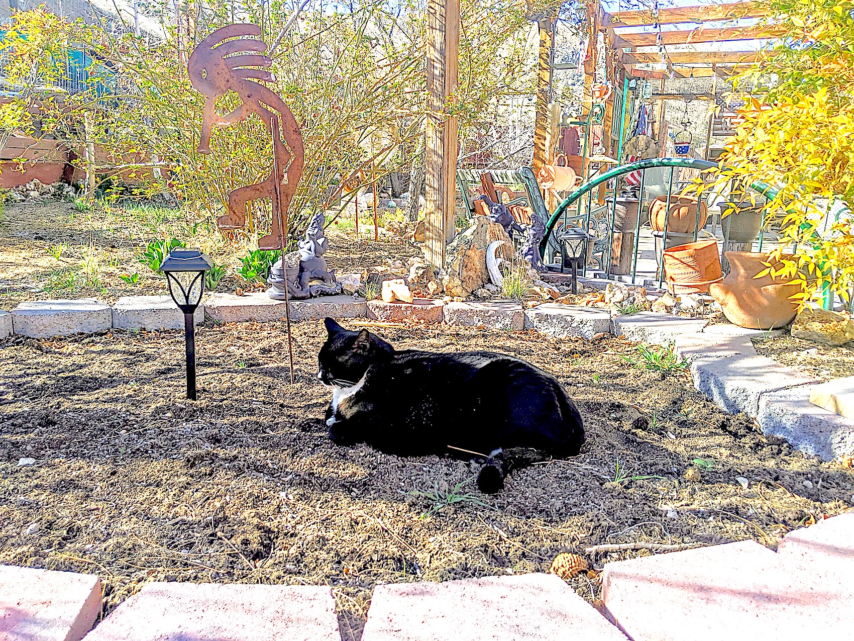 The March 26 R-C Morning Report | Serving Minden-Gardnerville and ...